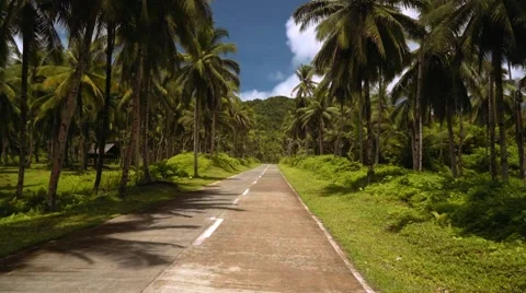 I Was Surrounded Stock Videos – Royalty-Free HD & 4K Videos | Pond5