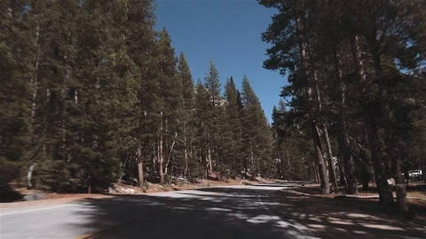 Leading Shot Film Stock Videos – Royalty-Free HD & 4K Videos | Pond5