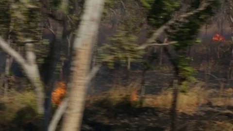 Driving through burning bush fire landsc... | Stock Video | Pond5