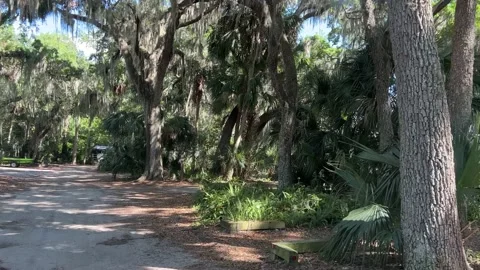 Driving through the campground at Trimbl... | Stock Video | Pond5