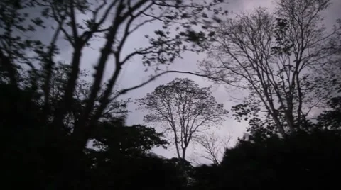 Two Dominican Stock Videos – Royalty-Free HD & 4K Videos | Pond5