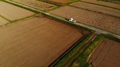Driving A White Pickup Truck In A Farm F... | Stock Video | Pond5