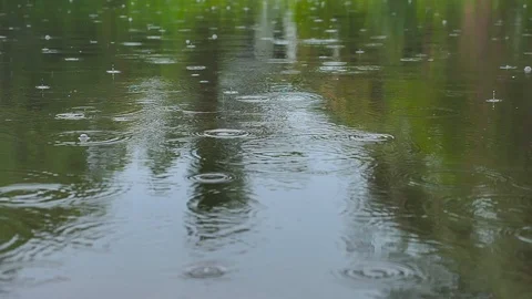 Drizzling Rain Stock Video Footage | Royalty Free Drizzling Rain Videos ...