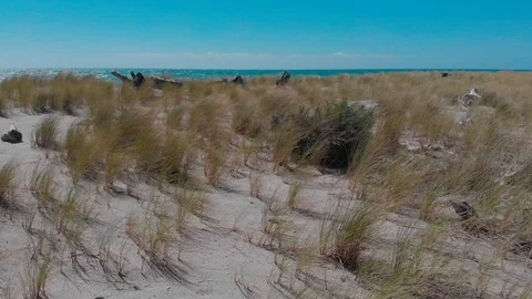 Drone Aerial flyover sandy grass beach t... | Stock Video | Pond5