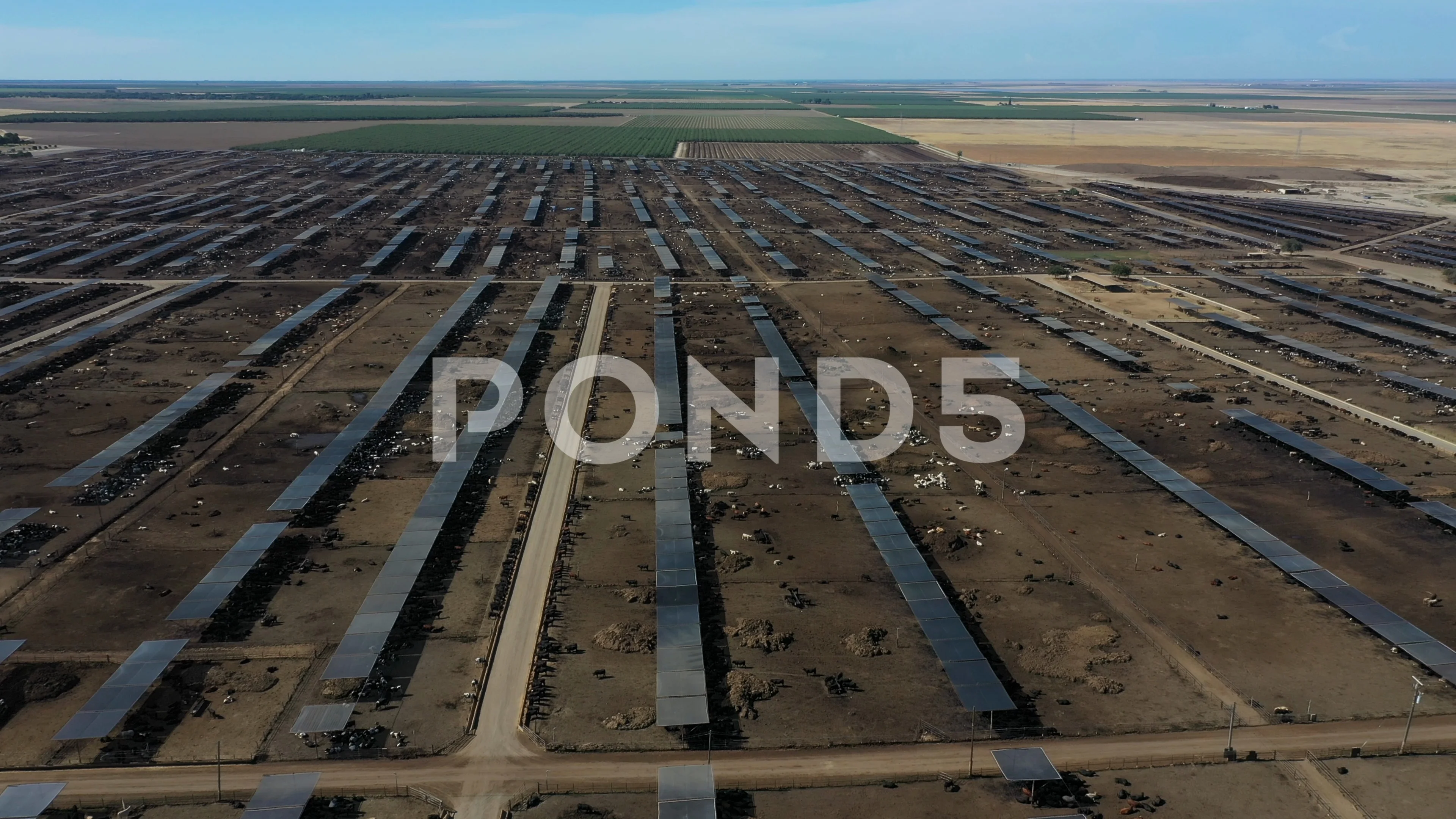 Harris Ranch Feedlot California I 5 Icon Harris Ranch Changes To Meet