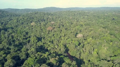 Drone aerial view of Amazon rainforest b... | Stock Video | Pond5