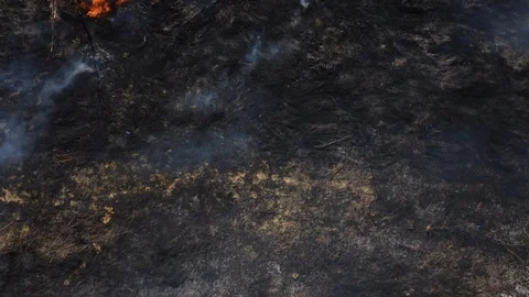 Drone up. The burning texture of dry gra... | Stock Video | Pond5