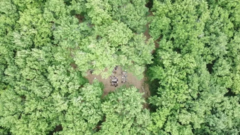 Concert D Drone Stock Videos – Royalty-Free HD & 4K Videos | Page 4