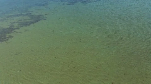 drone flight along the coastal line of t... | Stock Video | Pond5