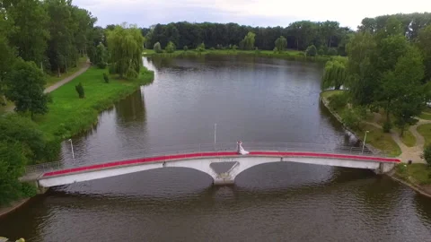 Free Image Over Stock Videos – Royalty-Free HD & 4K Videos