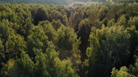 Drone flying forward above beautiful gre... | Stock Video | Pond5