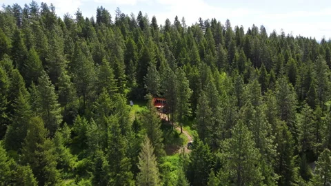 Drone flying over a treehouse in the for... | Stock Video | Pond5
