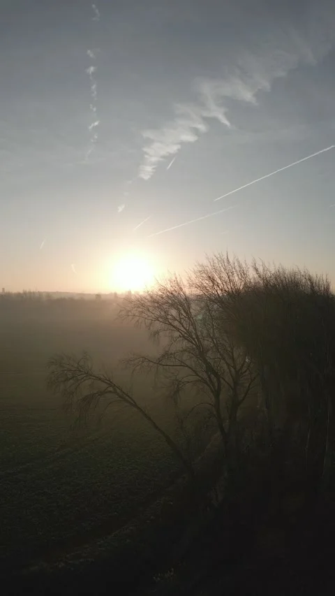 Pro Portraits Stock Videos – Royalty-Free HD & 4K Videos