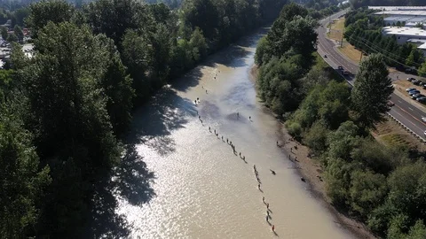 Drone footage of fishing for salmon, sal... | Stock Video | Pond5