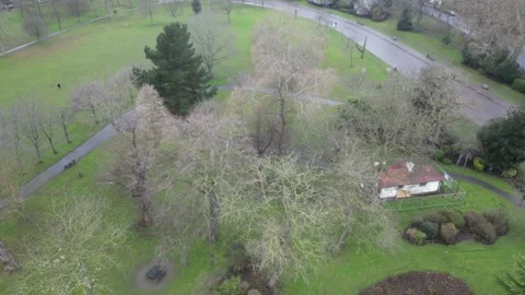 Drone footage over grass trees and rural... | Stock Video | Pond5