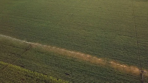 Drone footage of soybean crop field irri... | Stock Video | Pond5