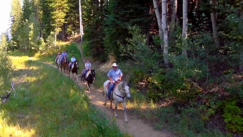 Riding A D Stock Footage ~ Royalty Free Stock Videos | Pond5