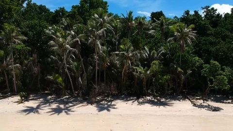 Image Republic Stock Videos – Royalty-Free HD & 4K Videos | Pond5