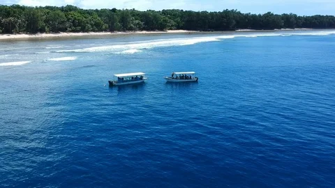 Image Of Dive Stock Videos – Royalty-Free HD & 4K Videos