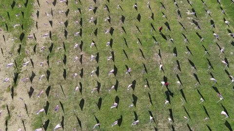 DRONE LOOKING DOWN ON FLAG FIELD PEOPLE ... | Stock Video | Pond5