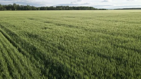 Very Large Dron Stock Videos – Royalty-Free HD & 4K Videos | Pond5