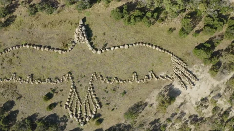 Drone over earth art, Eagle Made In Ston... | Stock Video | Pond5