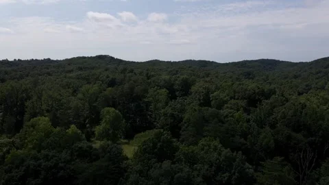 Drone Reveals the tree skyline over publ... | Stock Video | Pond5