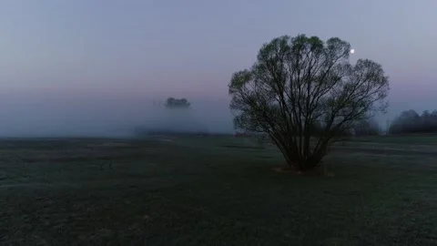 Shoot The Moon Stock Videos – Royalty-Free HD & 4K Videos | Pond5