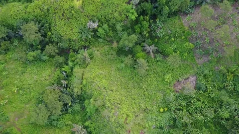 Graveyard Aerial Stock Video Footage | Royalty Free Graveyard Aerial ...