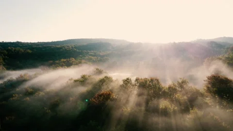 Early Fog Stock Videos – Royalty-Free HD & 4K Videos