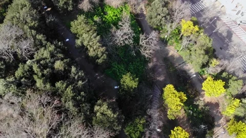 Drone shot filming down over park with t... | Stock Video | Pond5