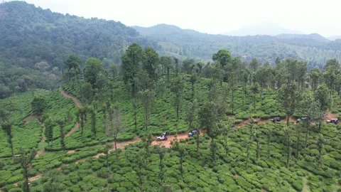 Wayanad Mountains Stock Videos – Royalty-Free HD & 4K Videos