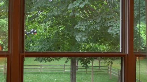 +Voyuer Drone Video Stock Videos – Royalty-Free HD & 4K Videos