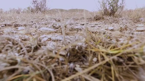 Start Fly Drone Stock Videos – Royalty-Free HD & 4K Videos