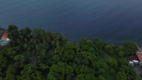 Drone tilt up on the shoreline at tropic... | Stock Video | Pond5
