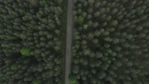Drone top down view of straight road and... | Stock Video | Pond5