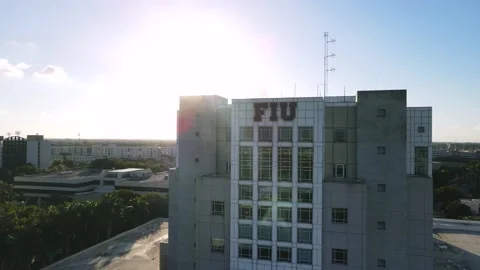 The Video Library Stock Video Footage | Royalty Free The Video Library ...