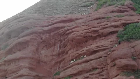 Air Seven Video Stock Videos – Royalty-Free HD & 4K Videos