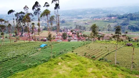 Big T Videos Stock Videos – Royalty-Free HD & 4K Videos | Pond5