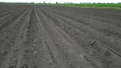 Drip Irrigation Landscape Stock Videos – Royalty-Free HD & 4K Videos