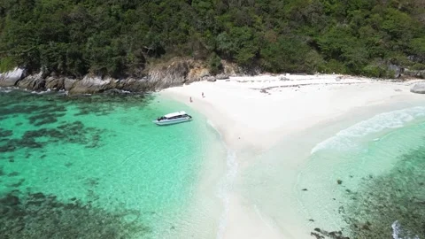 Family Found Shot Stock Videos – Royalty-Free HD & 4K Videos