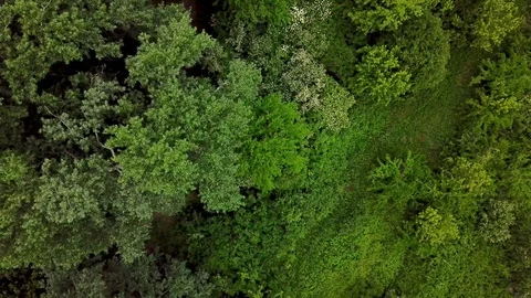 Drone's Eye View - 4K top down view of w... | Stock Video | Pond5