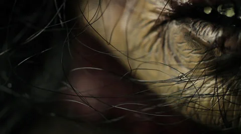 Orc Face Stock Video Footage | Royalty Free Orc Face Videos | Page 2