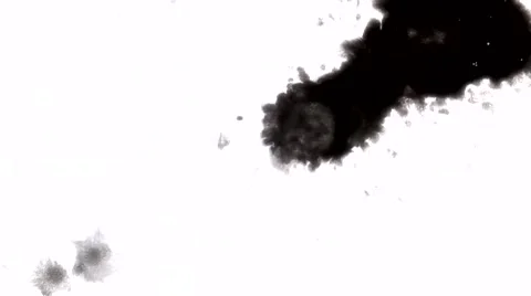 drop black ink blot blob | Stock Video | Pond5