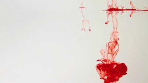 Blood In Water Stock Videos – Royalty-Free HD & 4K Videos