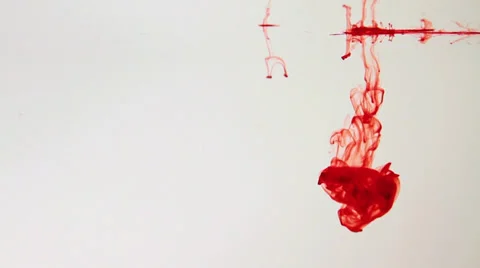 Blood In Water Stock Videos – Royalty-Free HD & 4K Videos