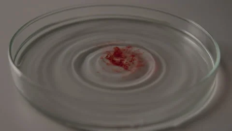 Blood In Water Stock Video Footage | Royalty Free Blood In Water Videos ...