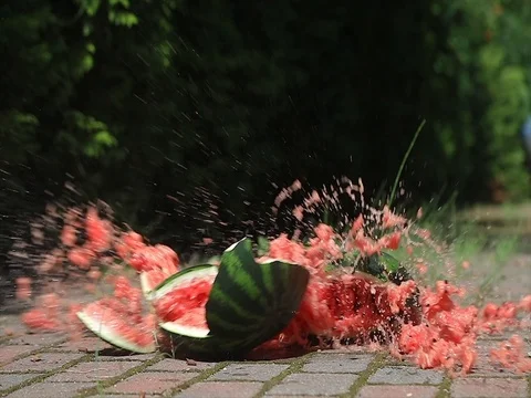 Dropped watermelon crashing to the groun... | Stock Video | Pond5