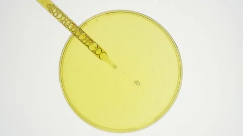 Dropper takes yellow liquid from watch g... | Stock Video | Pond5