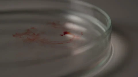 Blood Water Drops Stock Video Footage | Royalty Free Blood Water Drops ...